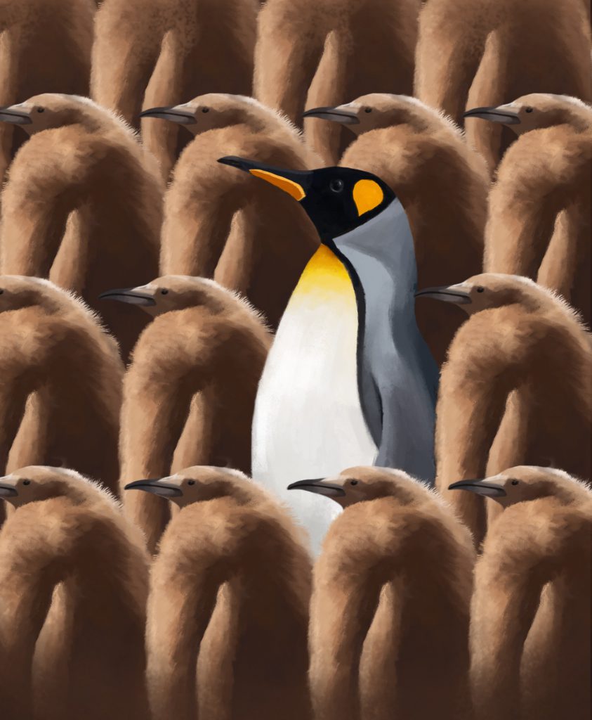 How to Find the Hook Point - The Nugget